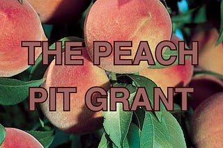 words from eliza | eliza mclamb | Substack