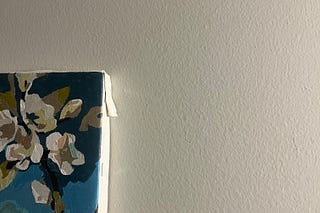 Lulubeans | laura hoenack | Substack