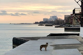 SCARY COOL SAD GOODBYE | Meaghan Garvey | Substack