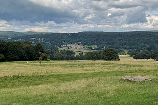 Wondering Freely | Helen De Cruz | Substack