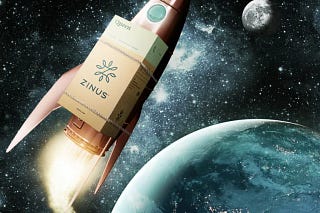 Archive - The Burning Bed