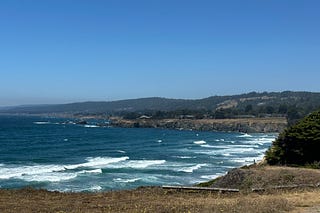 Archive - bookbear express