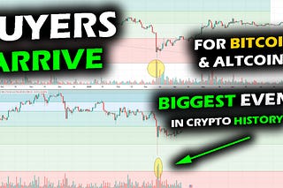 Blockchain Backer’s Newsletter | Substack