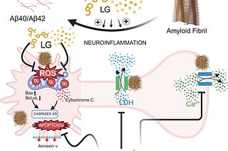 WMC Research | Walter M Chesnut | Substack