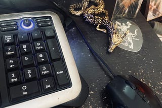 A View from the Edge of Night | Kathryn Zurmehly | Substack