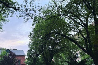 Reading & Eating | Shauna Niequist | Substack