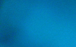 back from the borderline | mollie adler | Substack