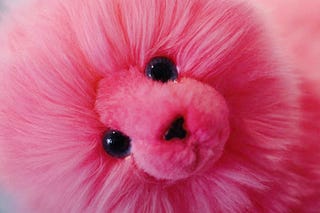 52Notatki | Przemek Gerschmann | Substack