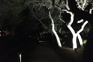 Diary Of Amy Rigby | Substack