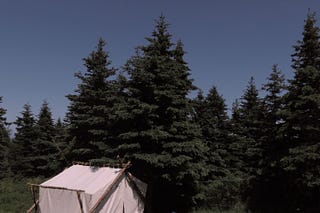 Tommy Dixon | Substack