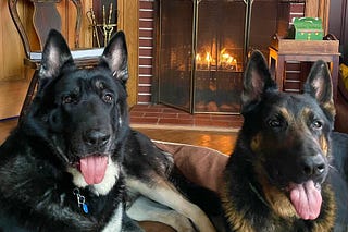 To the Contrary | Charlie Sykes | Substack