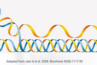 Merogenomics’s Substack | Substack