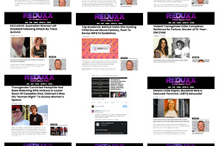 Year Zero | Wesley Yang | Substack