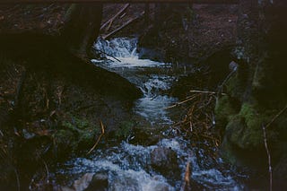 Fog Chaser | FogChaser | Substack