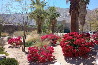 Non-Boring History | Annette Laing | Substack