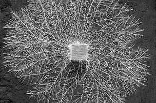 tekuno.lounge | catherine jue | Substack