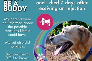 Steve Kirsch's newsletter | Substack