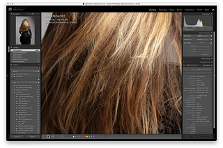 Paper Arts Collective Newsletter | Substack