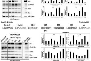 WMC Research | Walter M Chesnut | Substack