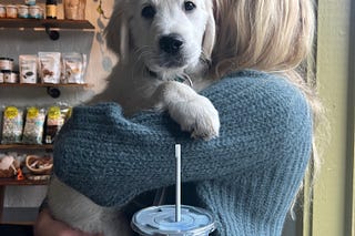 Madison Spain Club | Blakely Spoor | Substack