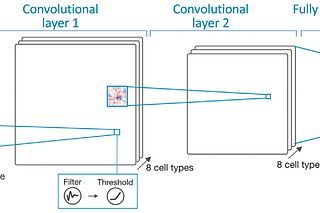 The NeuroAI archive | Patrick Mineault | Substack