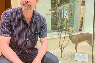 The Loaf, with Tim Kreider | Substack