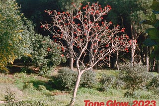 Tone Glow | Substack