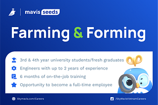 Sky Mavis Blog | Substack