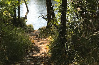 Beth’s Substack | Beth Patterson | Substack