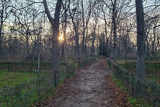 Archive - Cholla Express