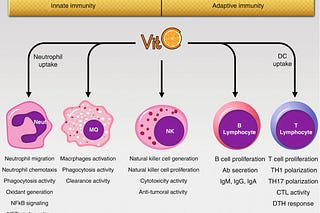 The Orthomolecular Guy | Kevin Kirkpatrick | Substack