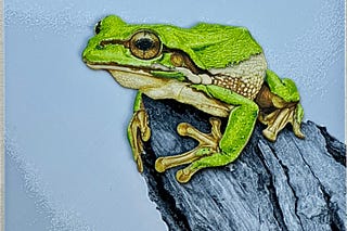 Archive - HueForge Devlog