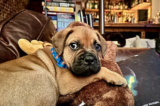 Cocktails With Suderman | Peter Suderman | Substack