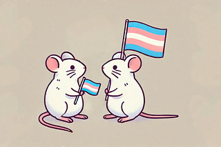 Reality’s Last Stand | Colin Wright | Substack