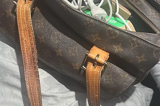 NEVERWORNS | Liana Satenstein | Substack