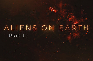 The Reese Report | Greg Reese | Substack