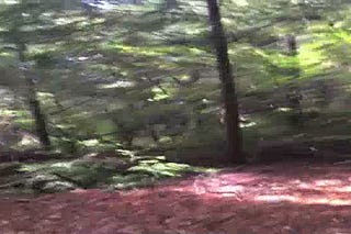 Trevor Dolby | Substack