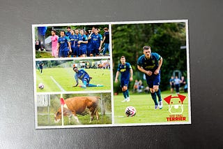 We Are Terriers | Steven Chicken | Substack