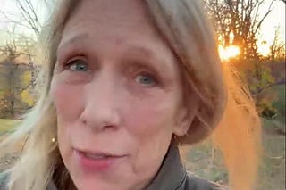 Seeing Things | Liza Donnelly | Substack