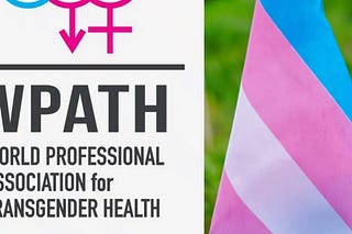 Hazard Ratio: Benjamin Ryan | Substack