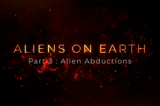 The Reese Report | Greg Reese | Substack