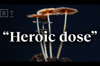 Big Think | Substack