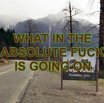 Blessed & Cursed | Bee Beardsworth | Substack