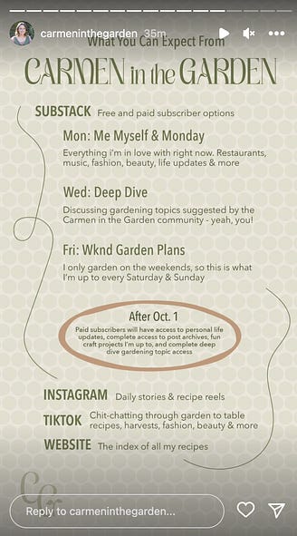How Instagram creators are bringing their followers to Substack