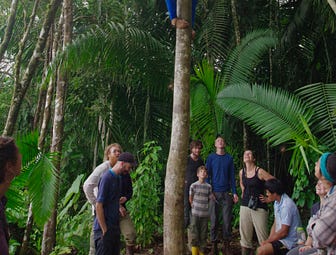 Natural Selections | Heather Heying | Substack