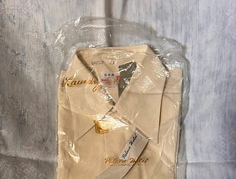 tidewanderings | India Flint | Substack