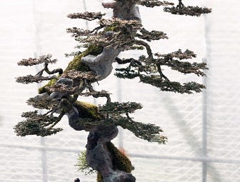 The Classical Mind | Jared Henderson | Substack