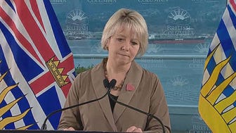 The Fiamengo File | Janice Fiamengo | Substack