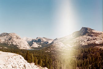 Fog Chaser | FogChaser | Substack