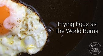 Flying Penguins | Joey DeBruin | Substack